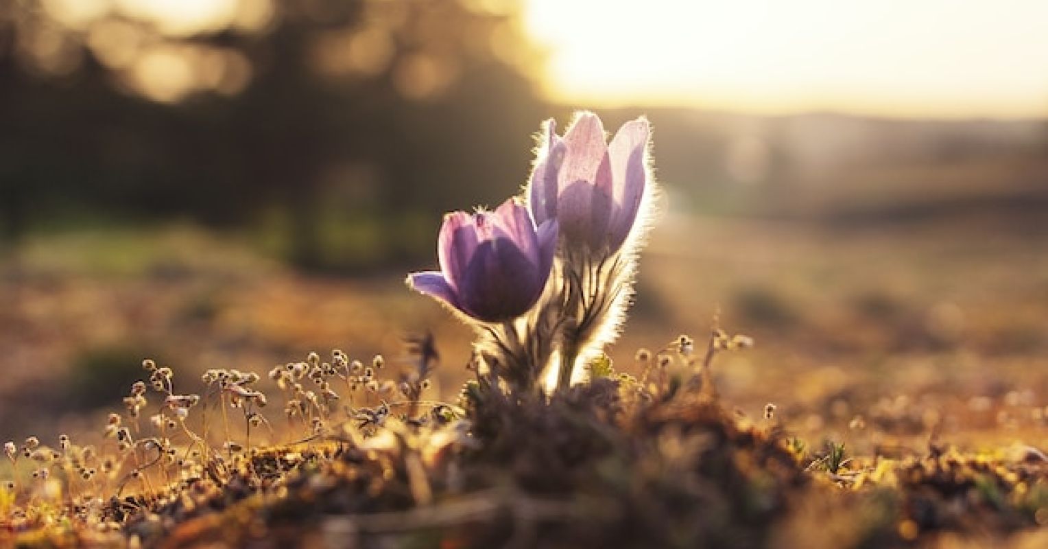 Six Tips for Self-Growth | Psychology Today Australia