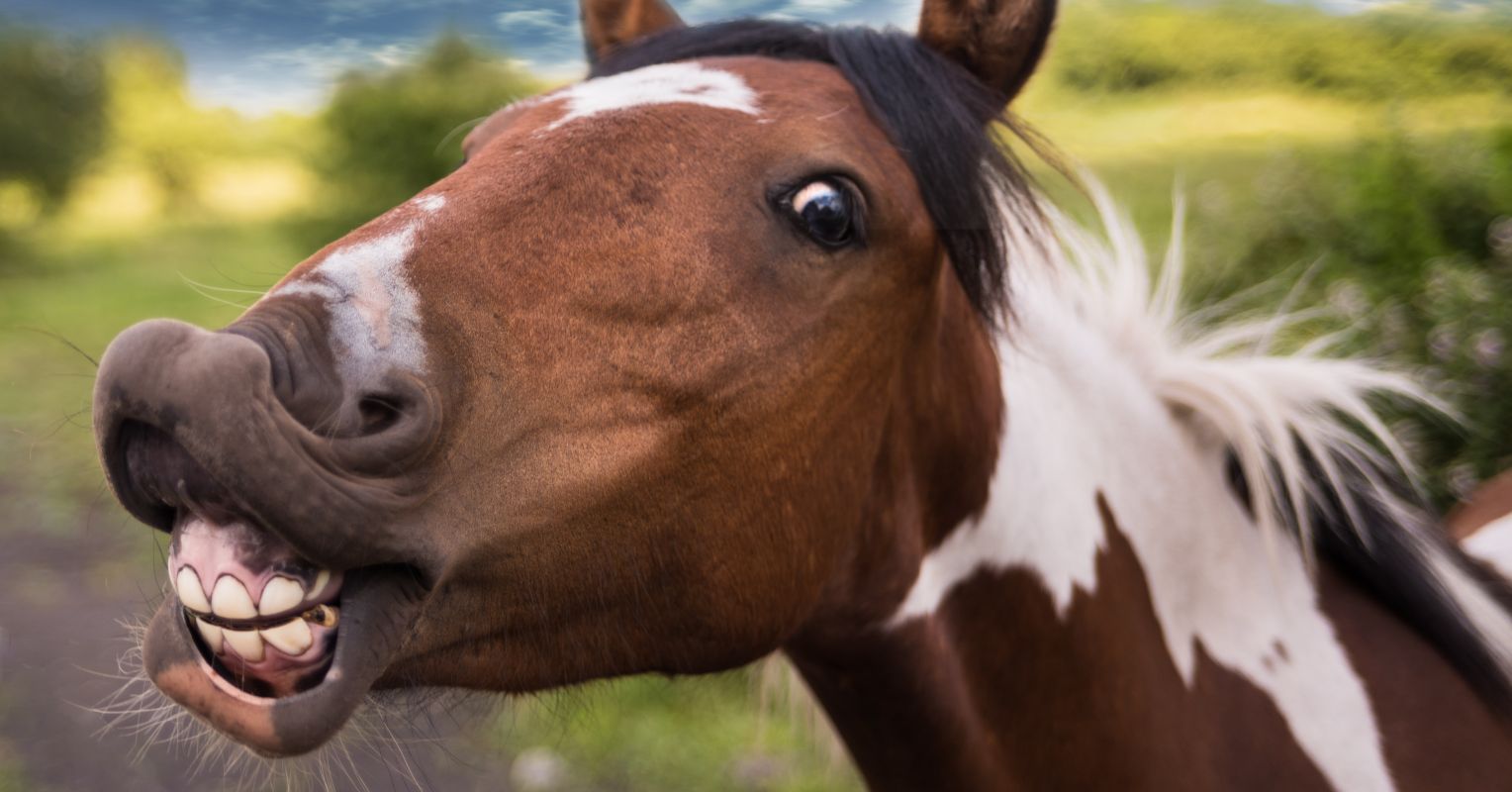 Using Humor to Cope With Mental Disorders in Relationships | Psychology ...