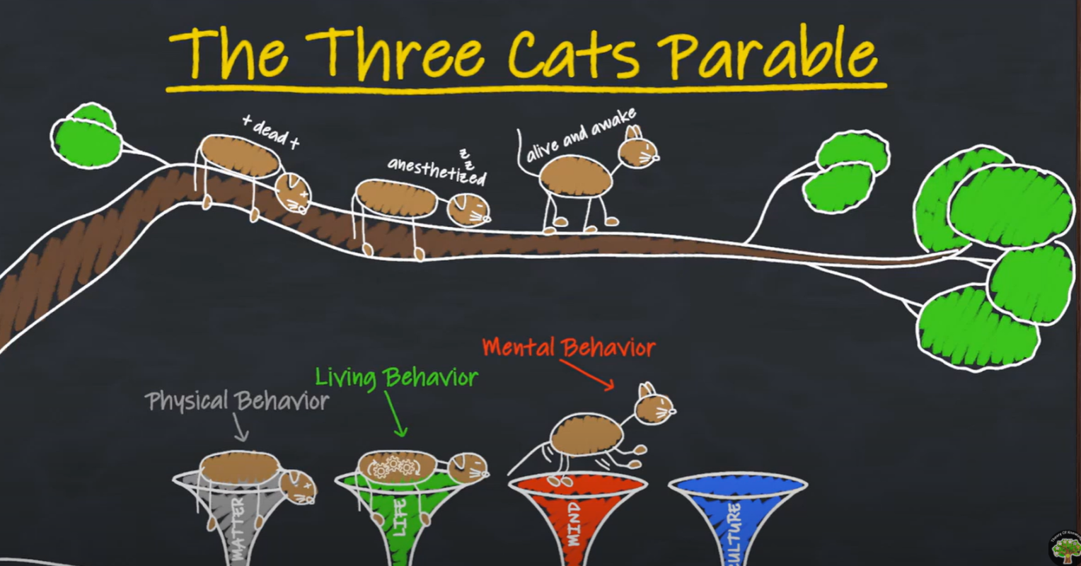 animal behaviour level 3