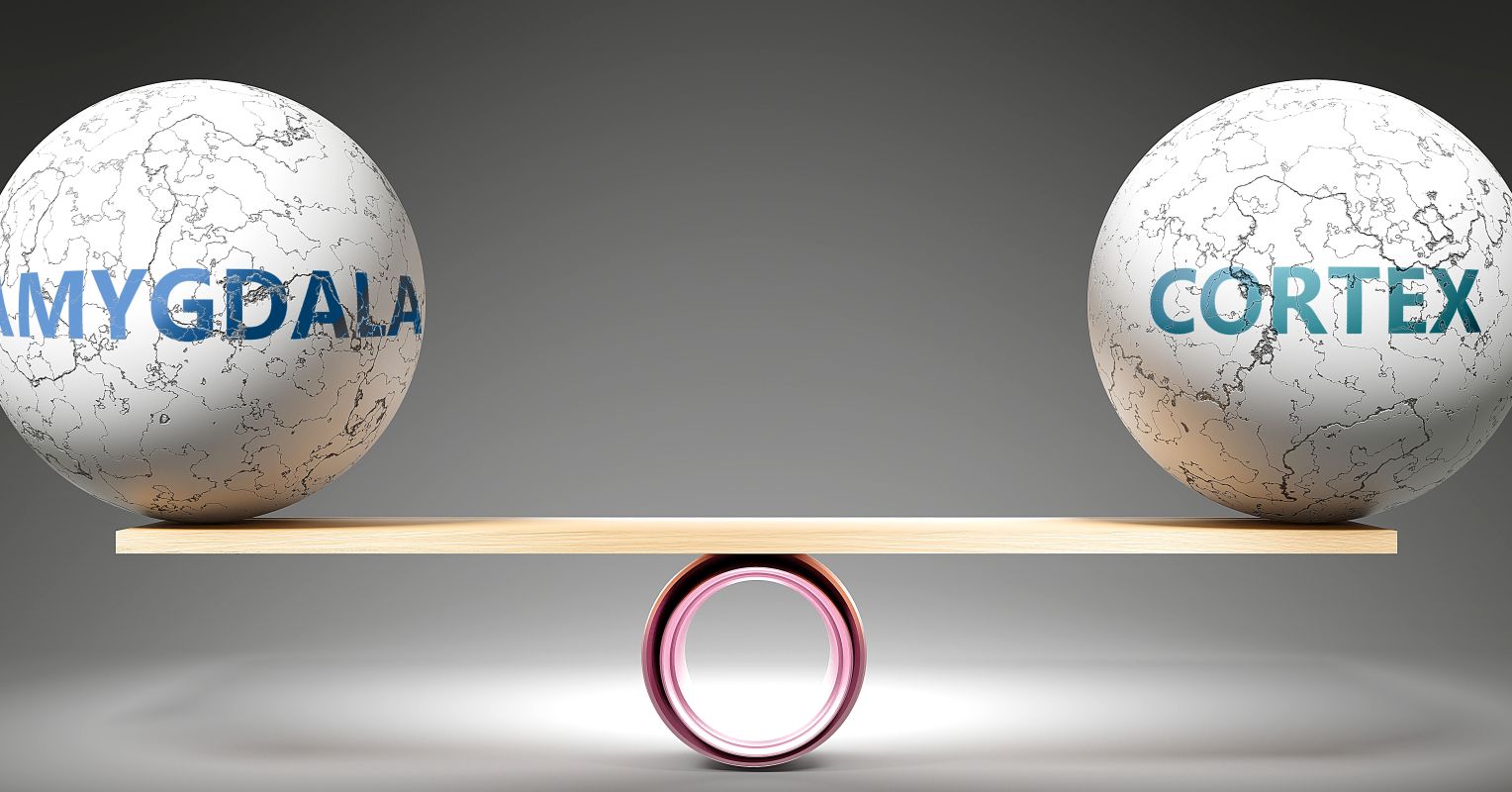 Can We Downregulate the "United States of Amygdalae?" | Psychology Today