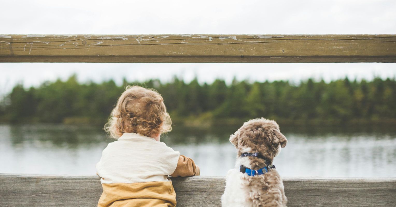 Simple Ways to Deepen Human-Animal Relationships | Psychology Today