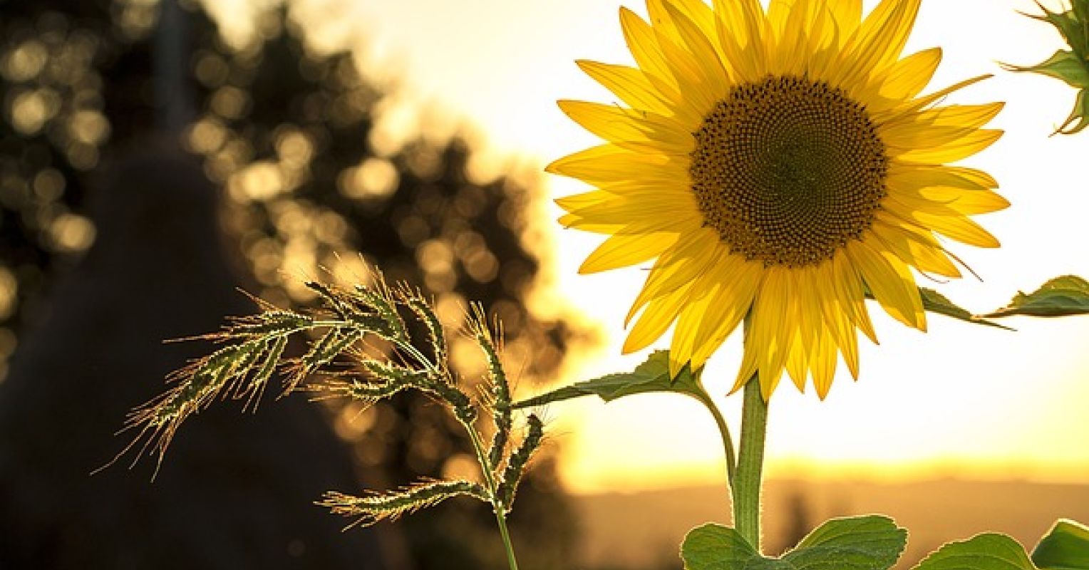 Be the Sun, Not the Salt | Psychology Today