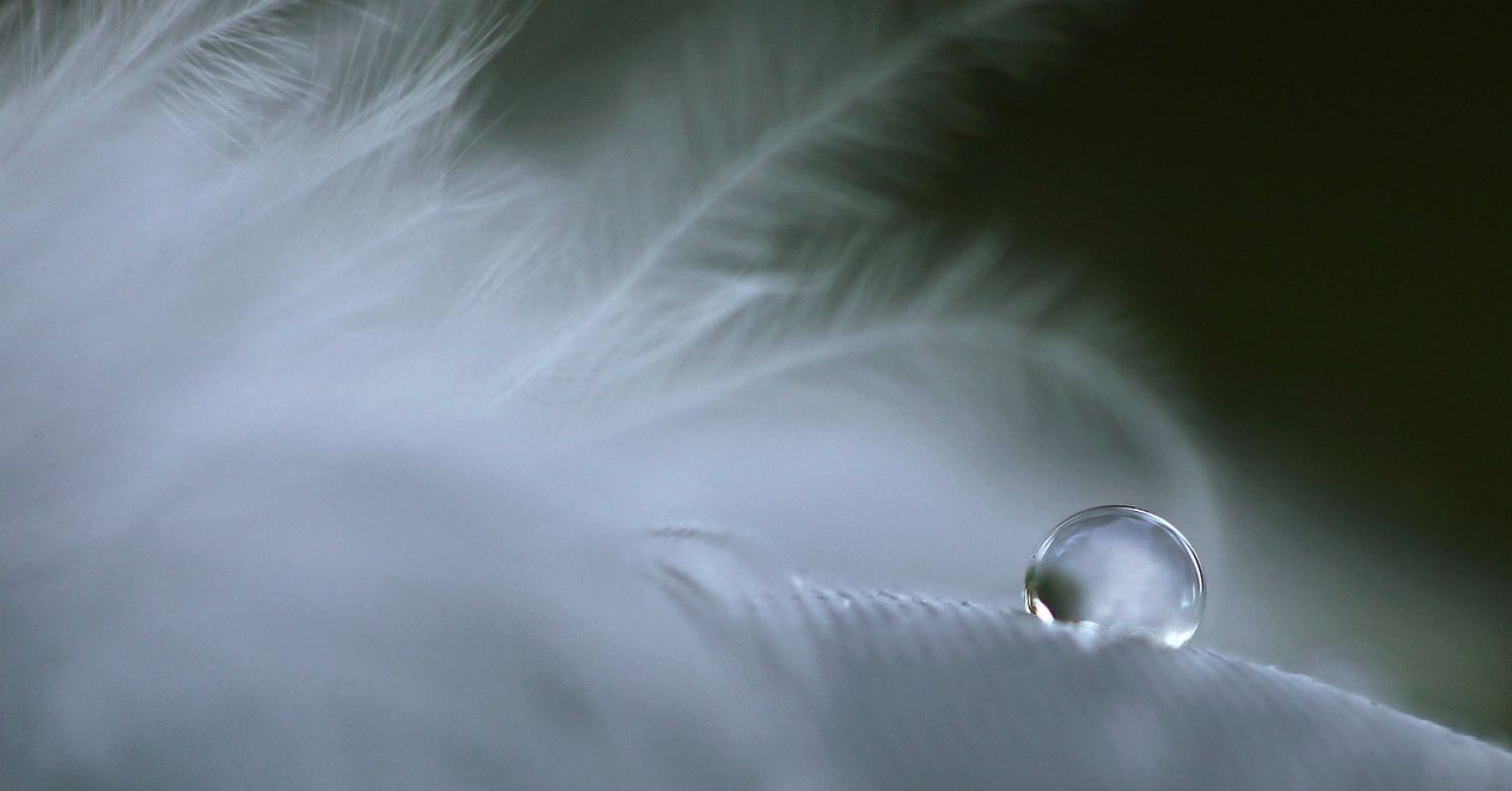 Winter Whispers: Four Ways to Cope with Year-End Grief | Psychology Today