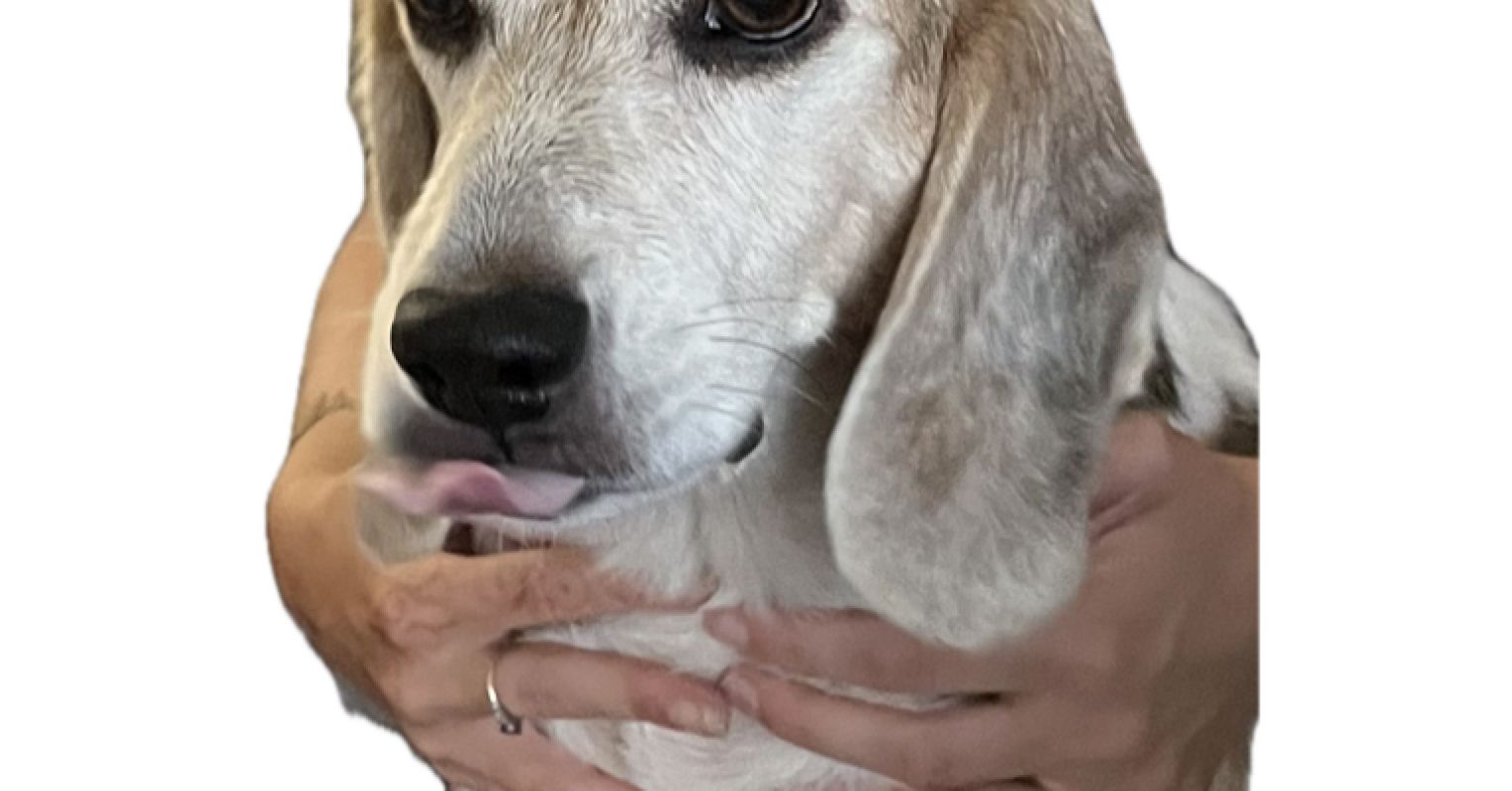 Empathy: The Conduit of Connection | Psychology Today