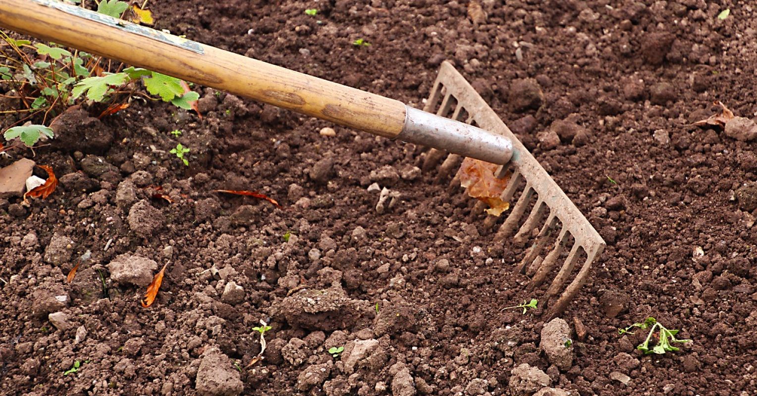 Self-Improvement Can Be Made Easier Through Self-Cultivation ...