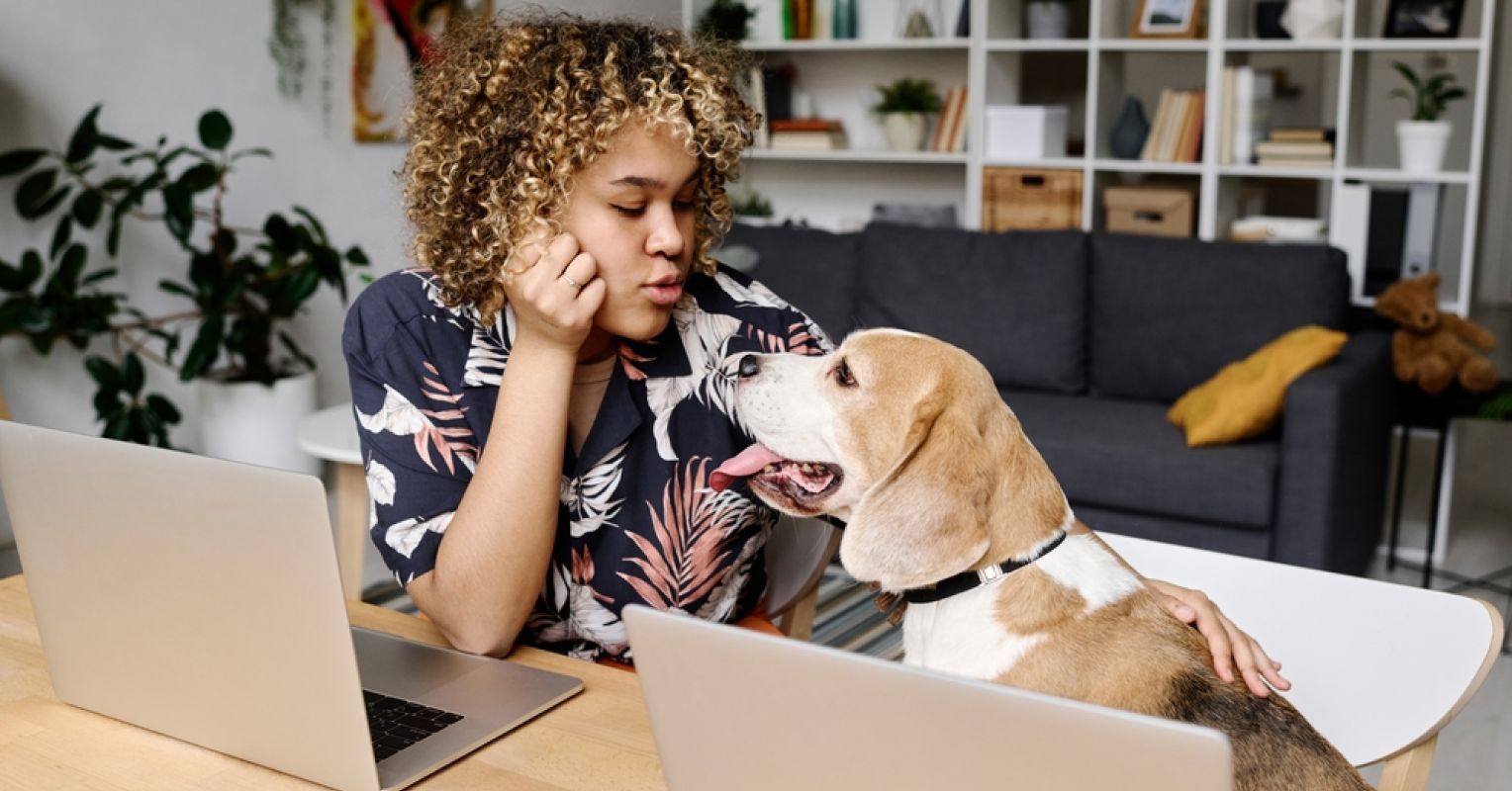 What Makes a Dog a Gifted Word Learner? | Psychology Today