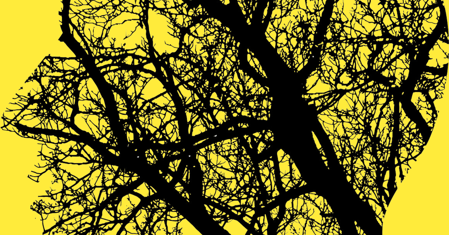 Rethinking Dual Process Models of Thought | Psychology Today United Kingdom