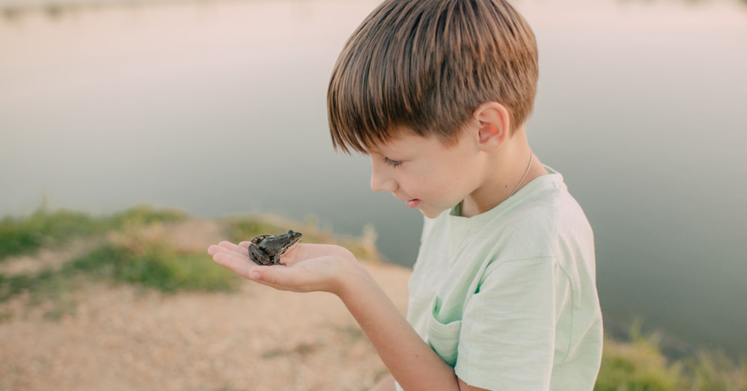The Positive Impact of Classroom Pets | Psychology Today