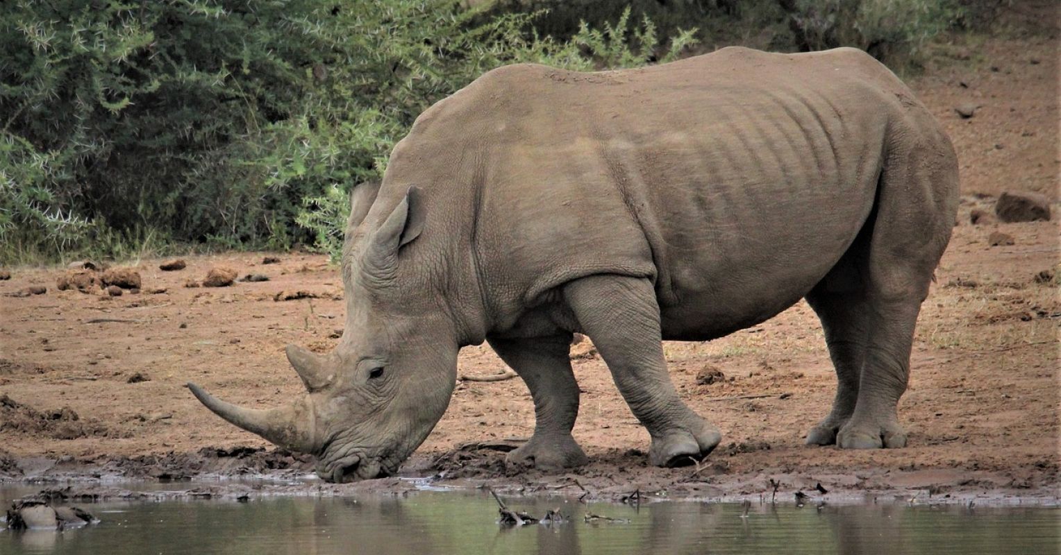 How to Grow a Thicker Skin | Psychology Today