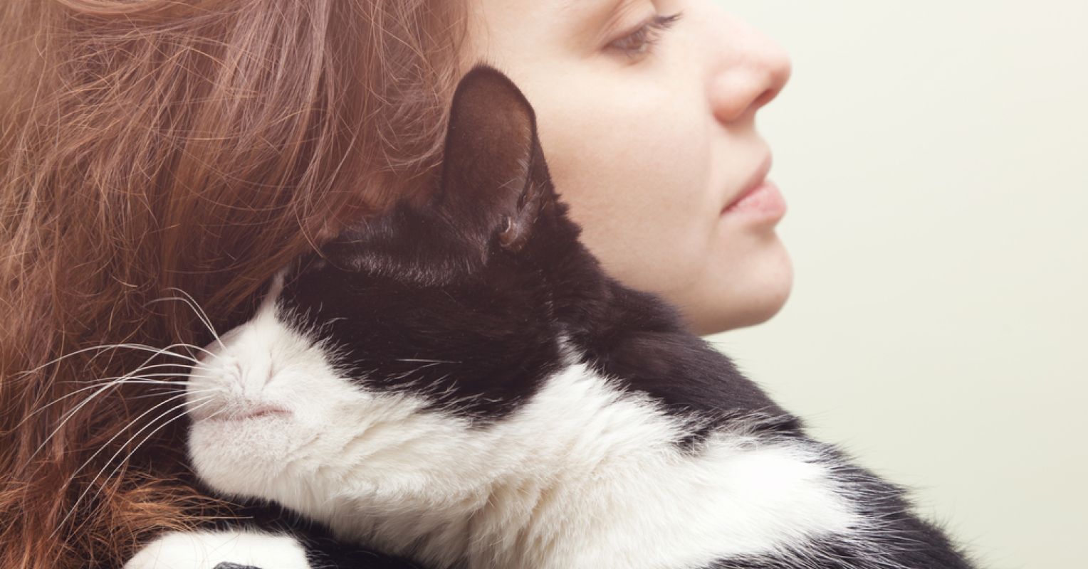 Cat Ownership and Schizophrenia: A New Perspective | Psychology Today
