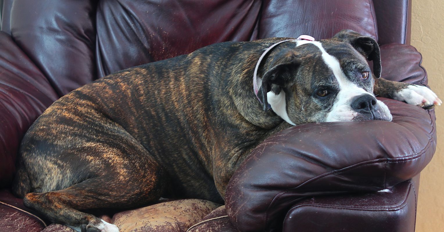 Viewing Procrastination Through a Humanistic Lens | Psychology Today