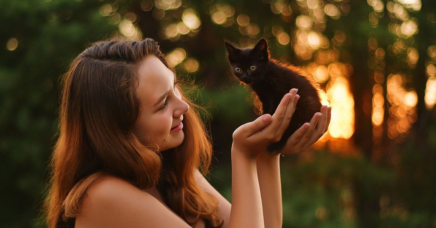 Can Pets Teach Us Unconditional Love? | Psychology Today United Kingdom