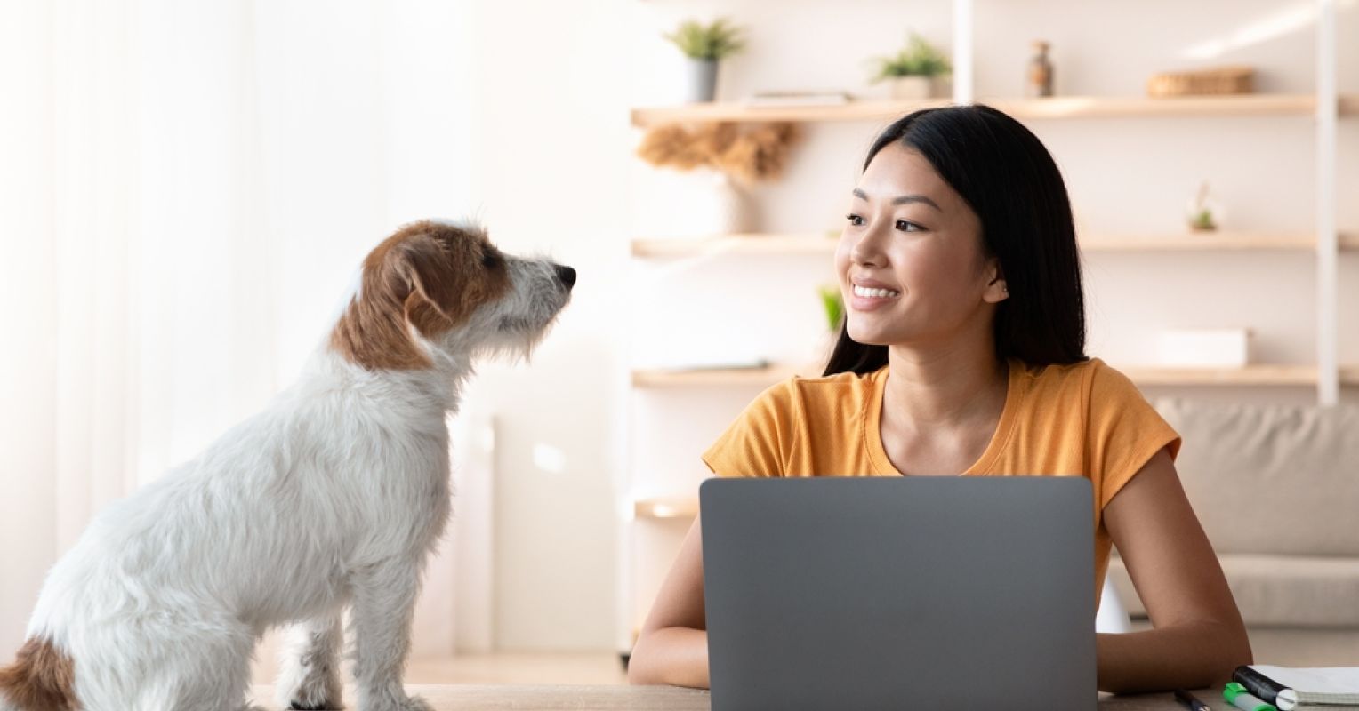Can Dogs Understand Object Words? | Psychology Today Ireland