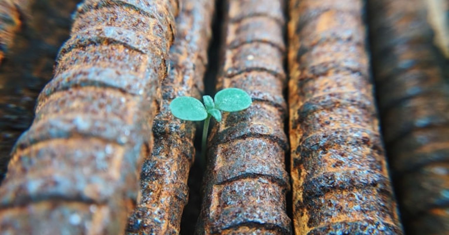 Good Hope and Bad Hope | Psychology Today Australia