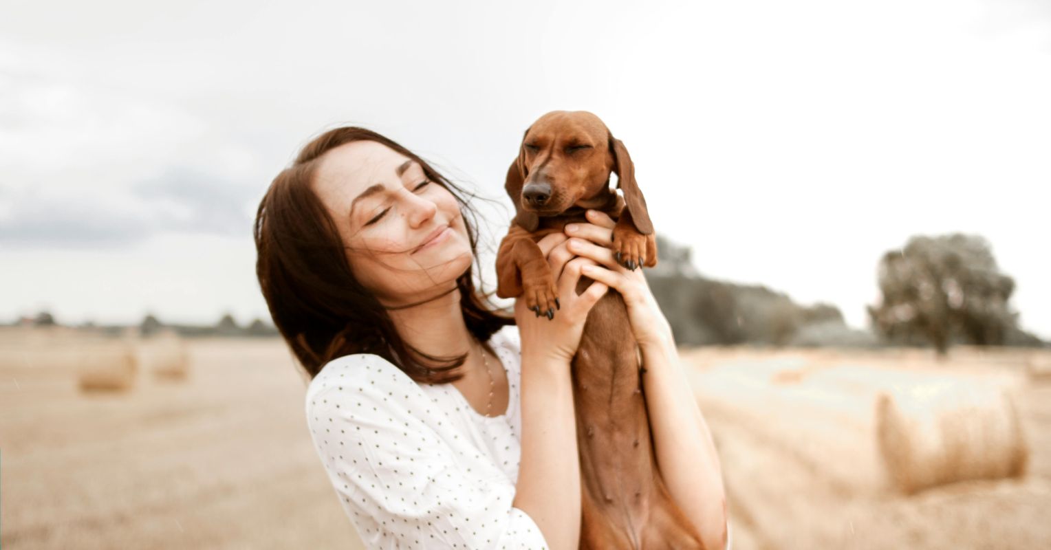 Strays and Stress: Reducing Stress by Saving Animals | Psychology Today ...