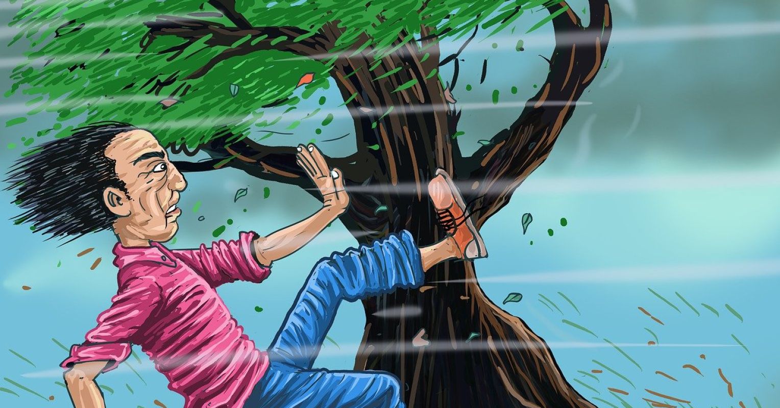 Managing the Psychological and Practical Aftermath of Disasters ...