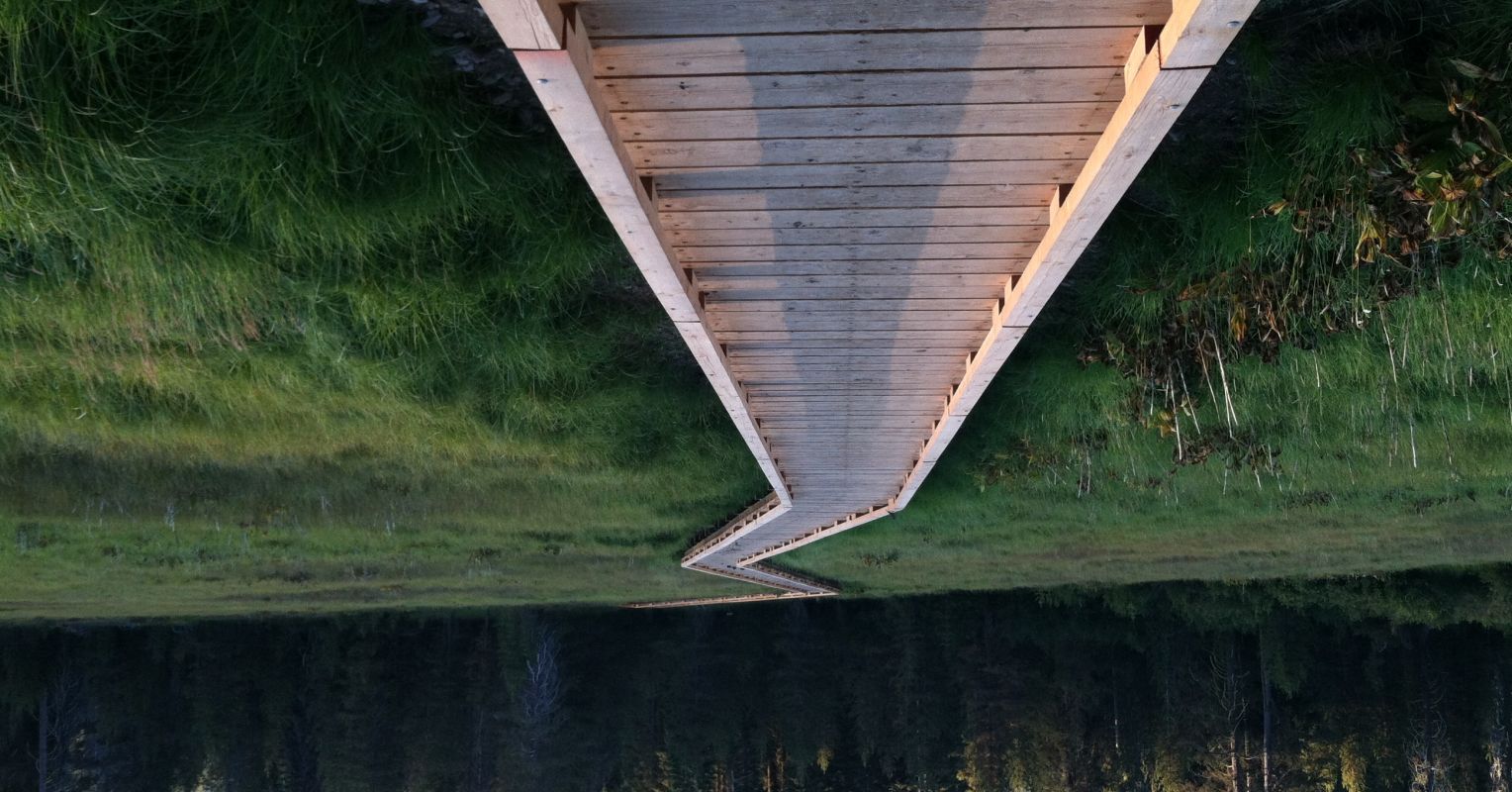 Convergent Attention, Divergent Consciousness | Psychology Today Australia