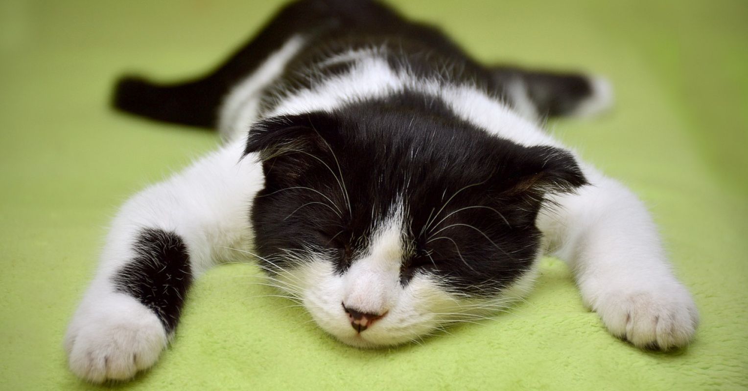 lazy people problems