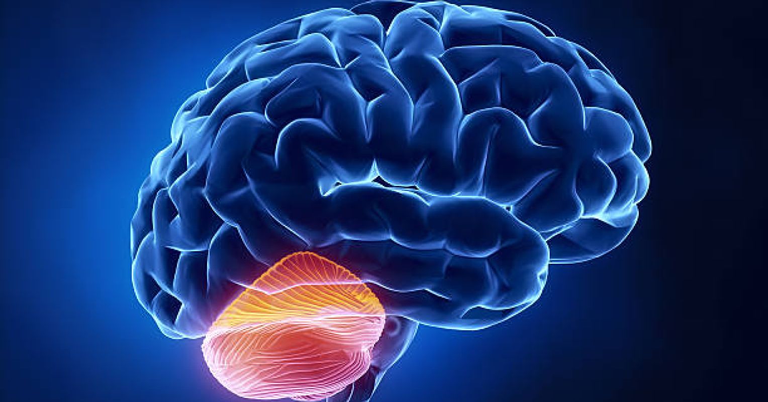 Subconscious Fear: The Role of the Lower Brain | Psychology Today