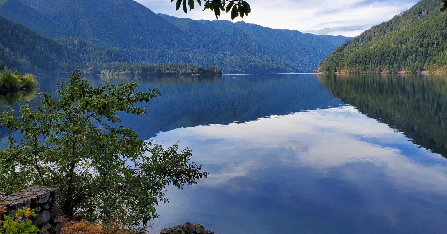 How Nature Makes Us Human | Psychology Today