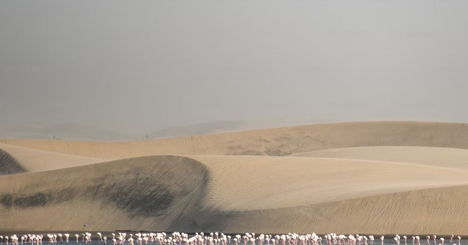 Social Barriers to Critical Thinking | Psychology Today