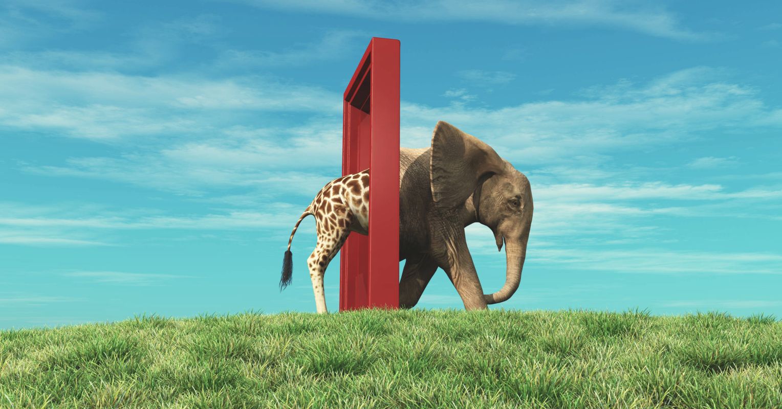 Finding Calm in Chaos | Psychology Today