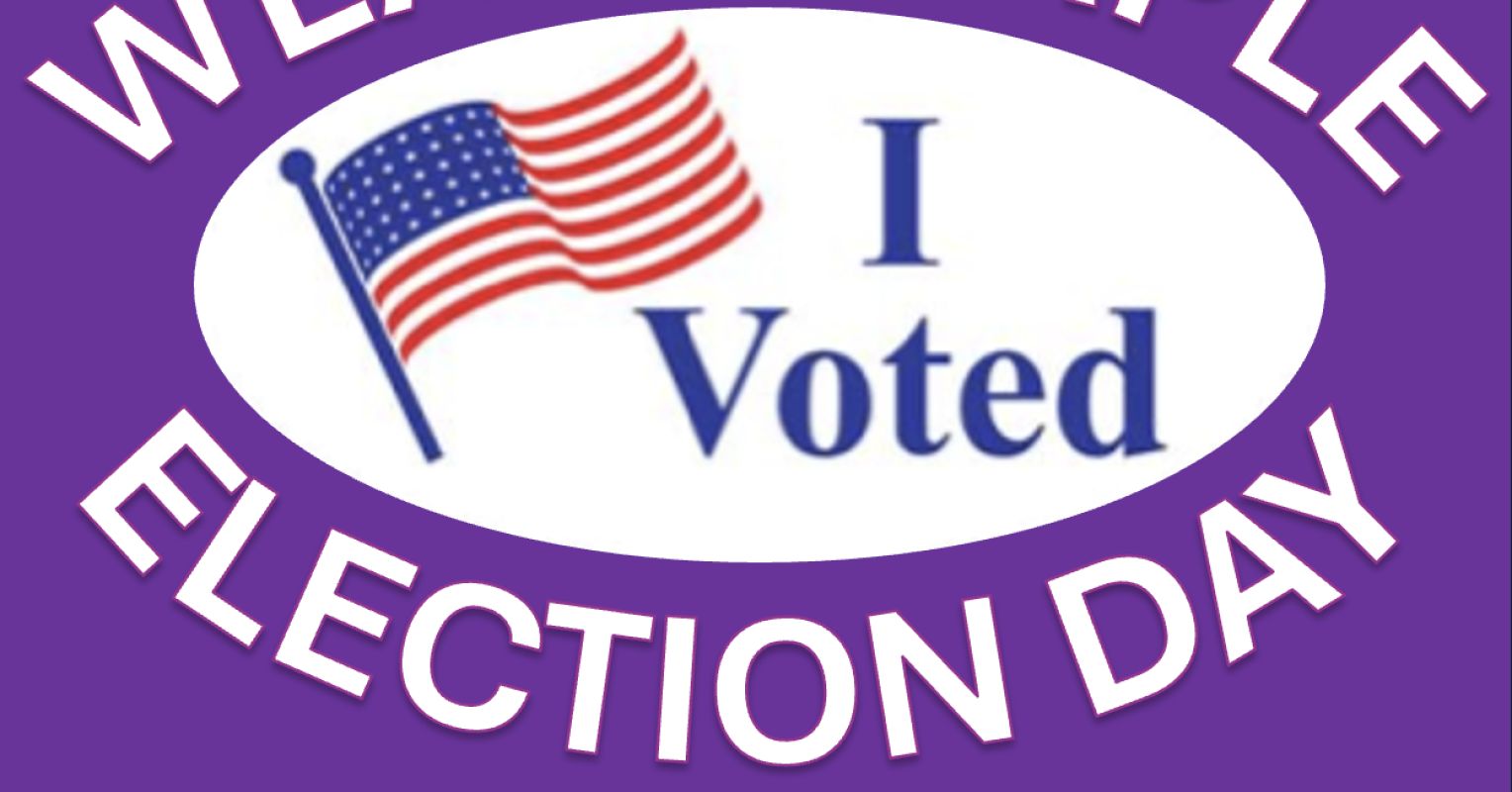 Wear Purple on Election Day to Call for Cooperation | Psychology Today