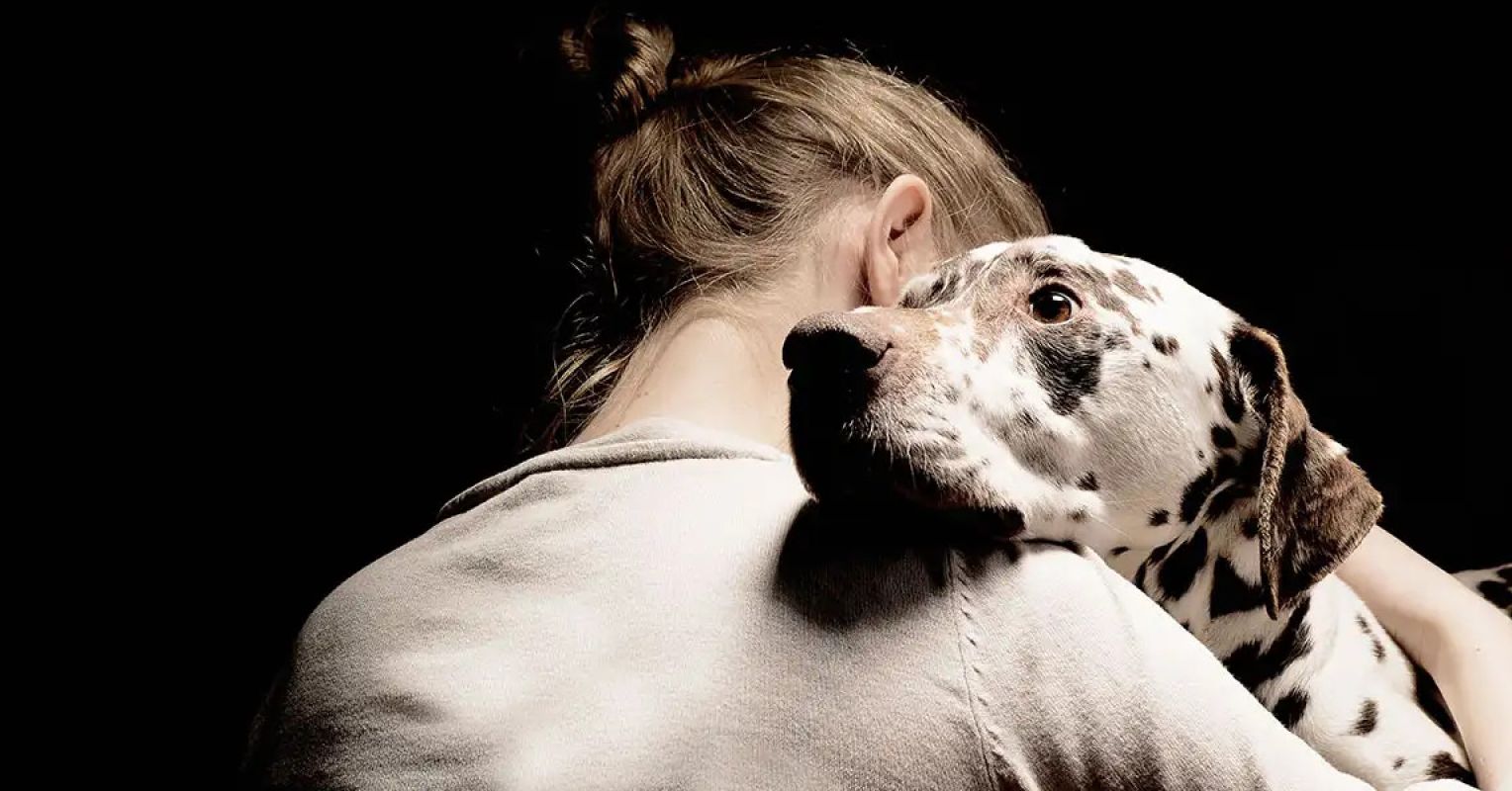 Why Mourning a Pet Can Be as Hard as Grieving for a Person | Psychology ...