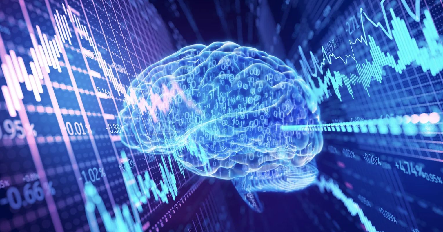 Amanda Ward's Highlights on 'Male and Female Brains Can Be Classified ...