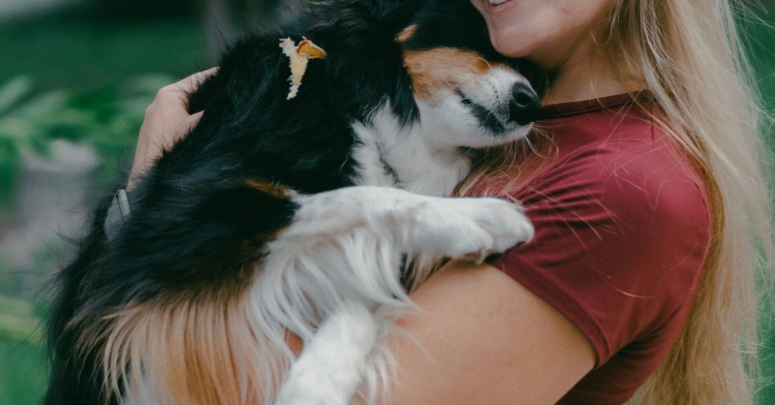 4 Eye-Opening Reasons We’re Obsessed With Our Pets | Psychology Today