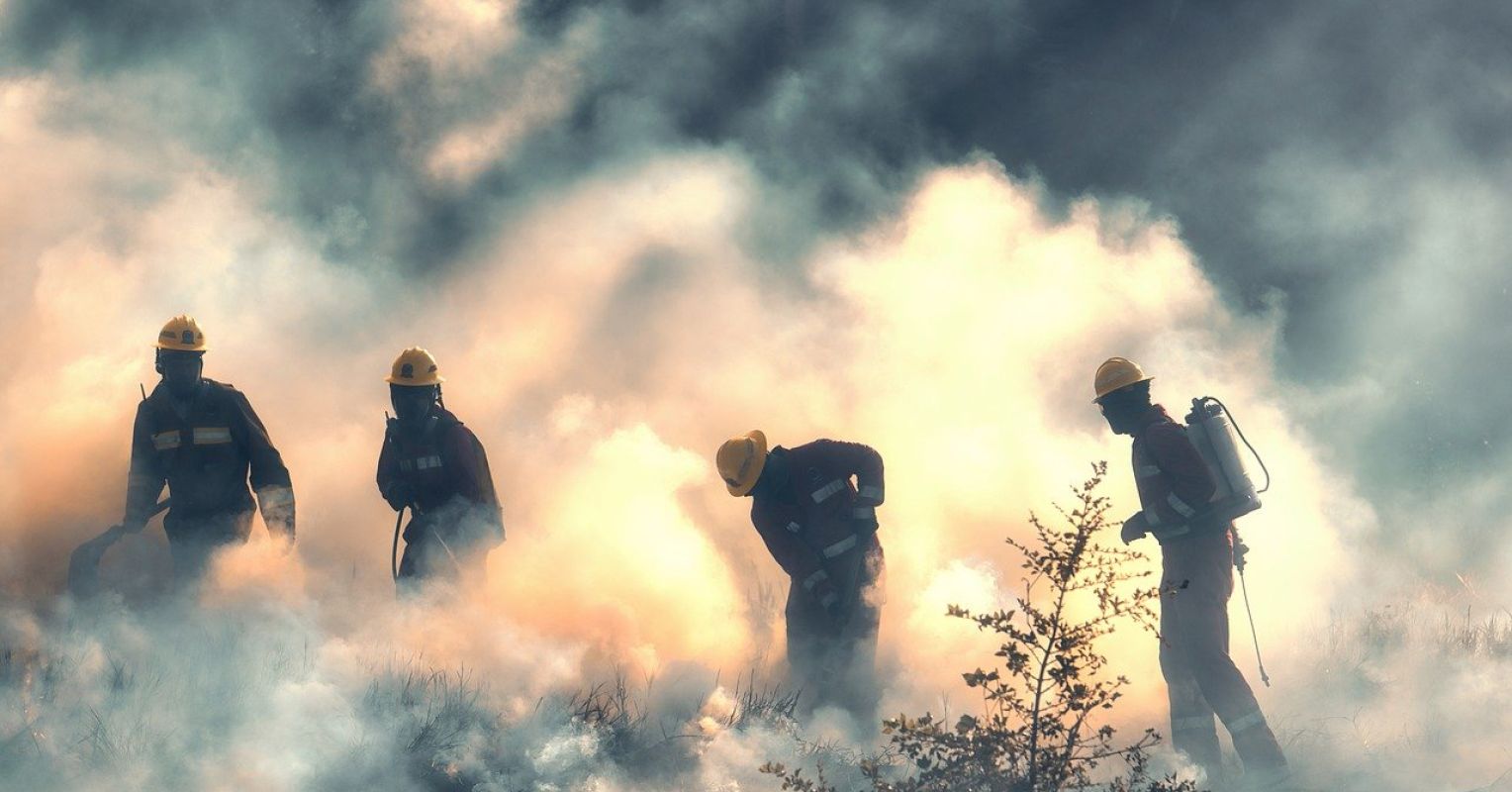The Power of Paradox: Solving Crises With Unusual Solutions ...