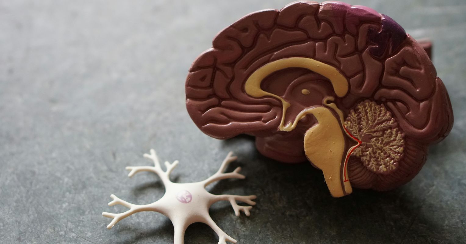 Brain Rot: Why Brain Health Matters Now More Than Ever | Psychology Today