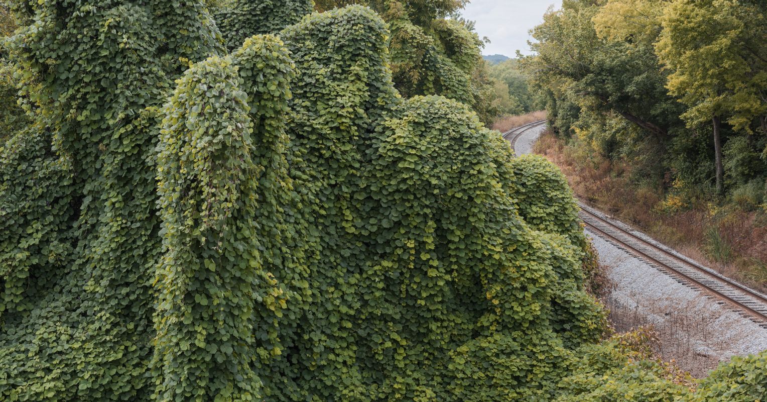 How Art Can Help Us Cope with Existential Terror | Psychology Today