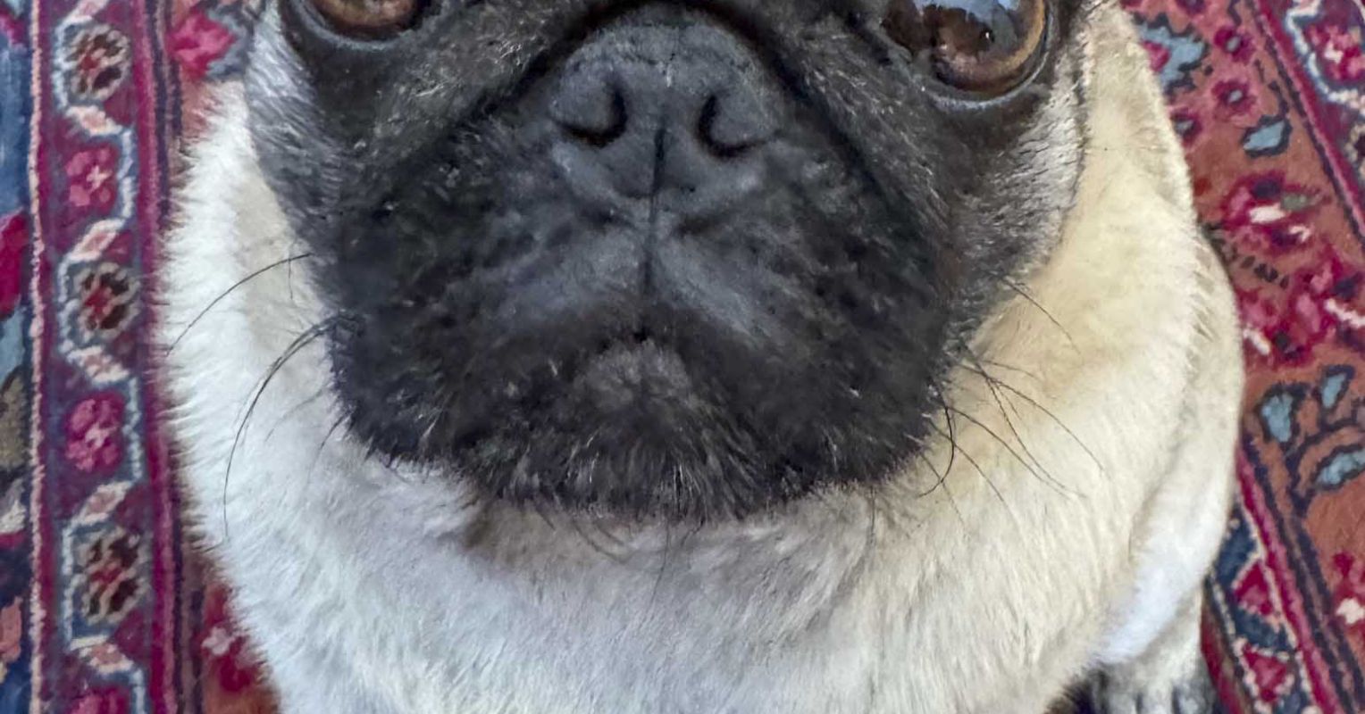 Neurodiversity's Future in a Country Without DEI | Psychology Today