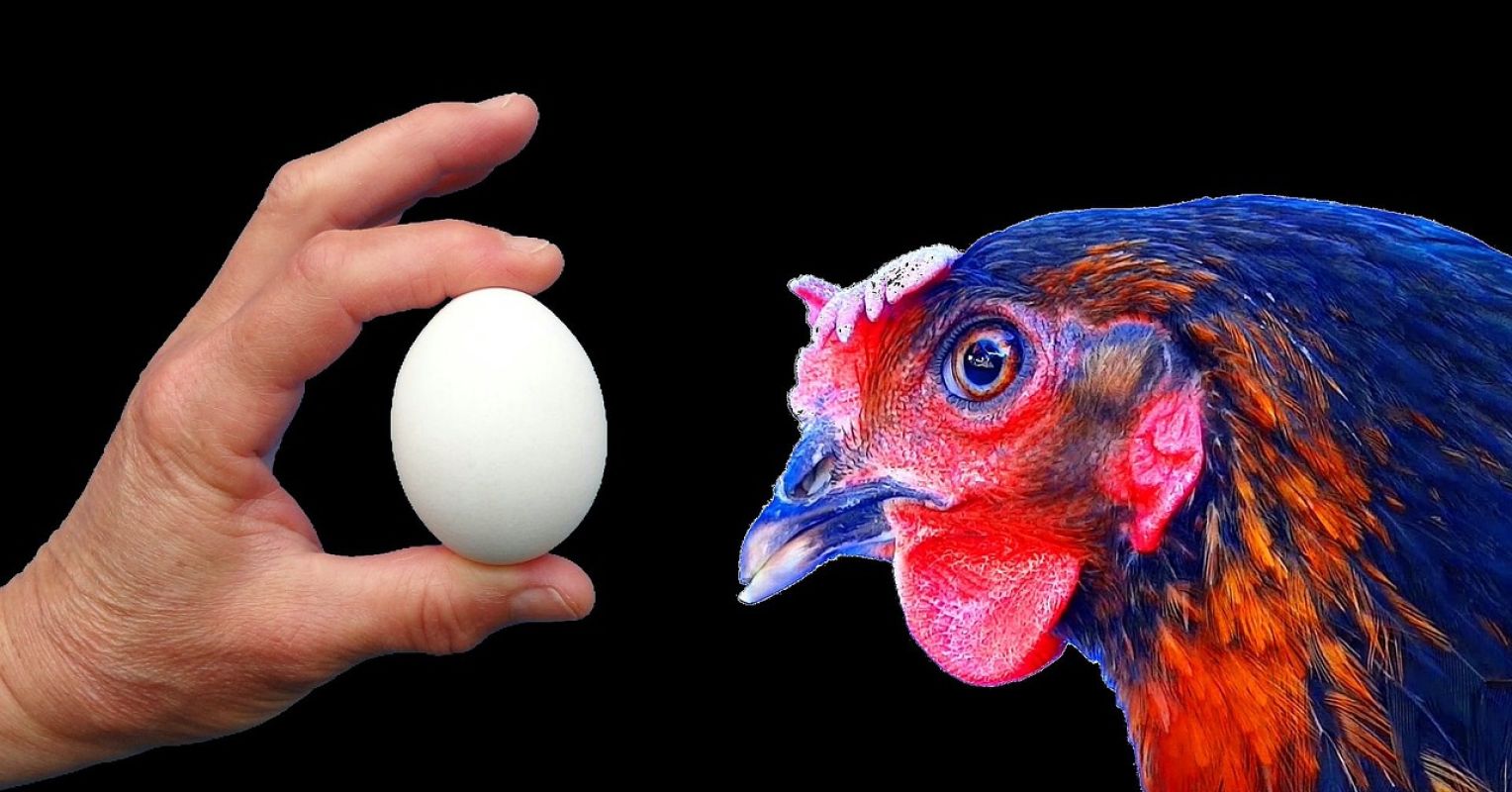 Psychology’s “Chicken or the Egg” Problem | Psychology Today Australia