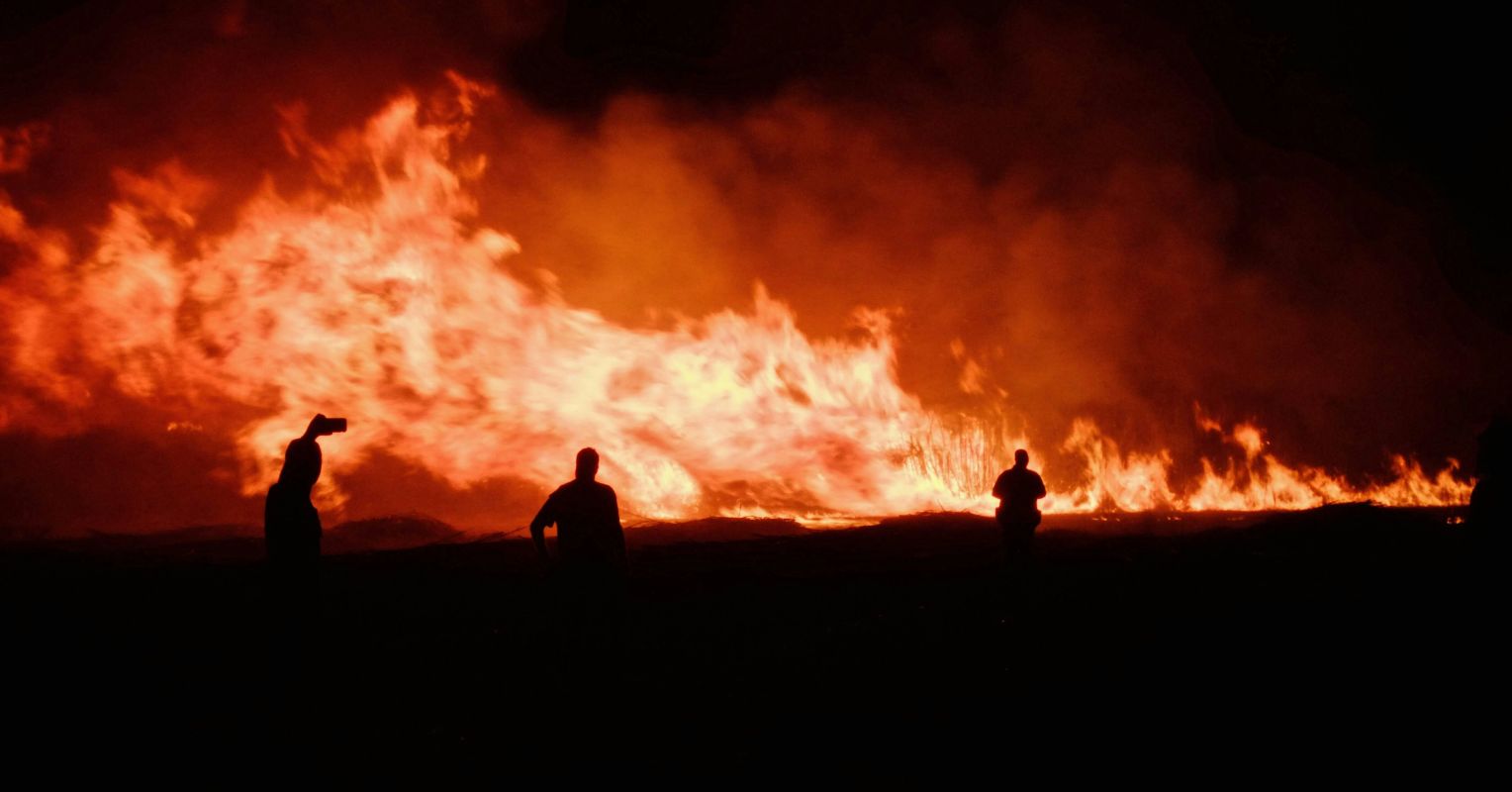 A Simple Moment of Deep Happiness Amid Chaos | Psychology Today