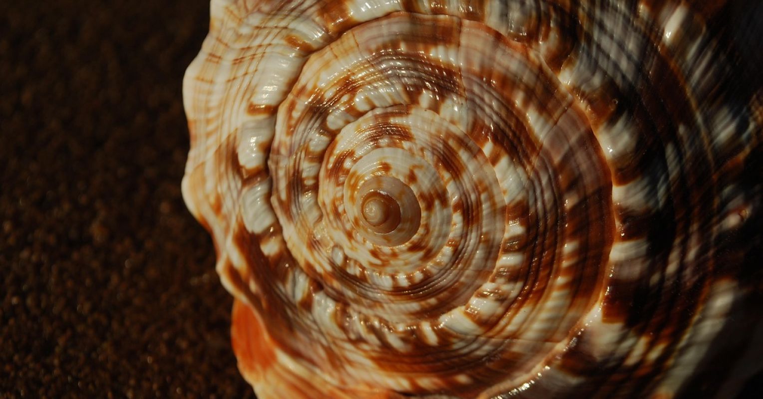 The Objective Science of Beauty | Psychology Today South Africa