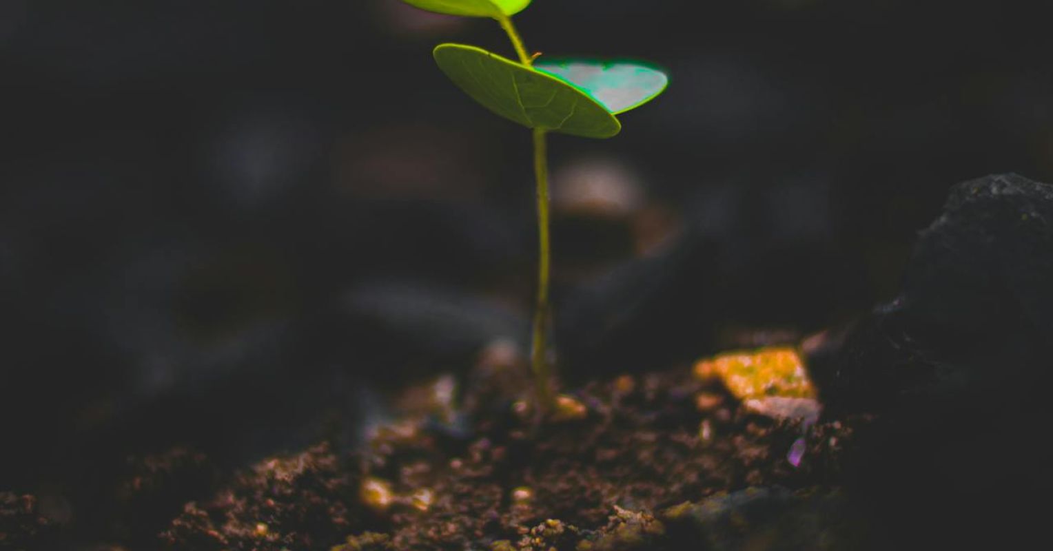 The 10 Principles of Hope | Psychology Today