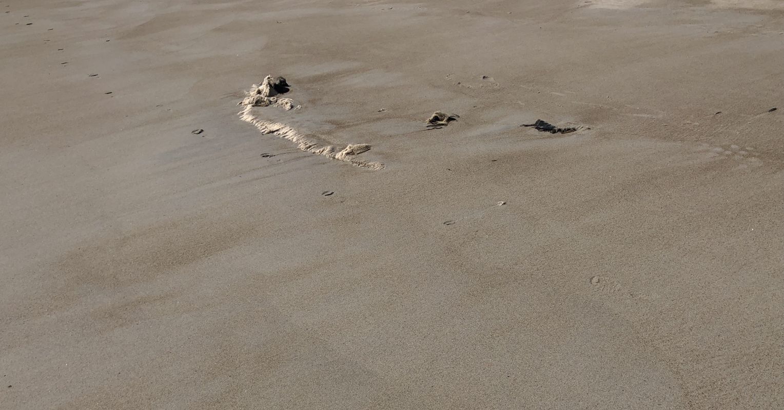 There Is Freedom Without Free Will | Psychology Today