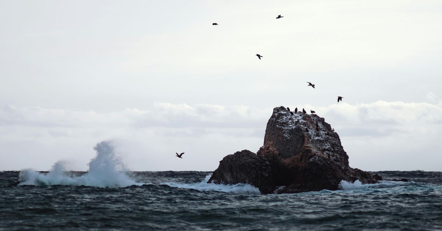 Navigating Change and Uncertainty in the Workplace | Psychology Today