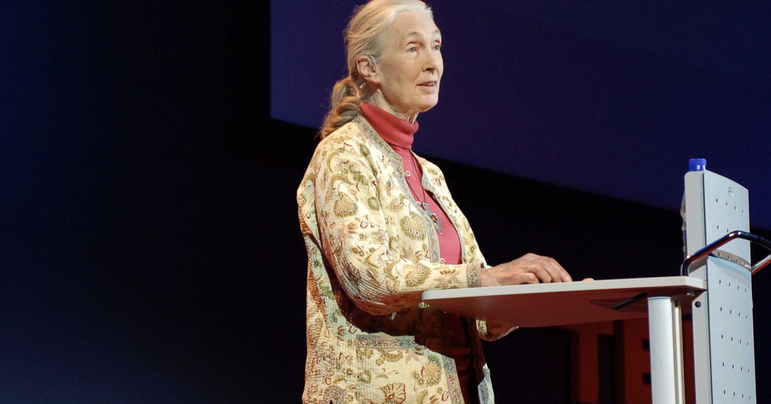 Jane Goodall: Hope and Human Flourishing Through Nature | Psychology Today