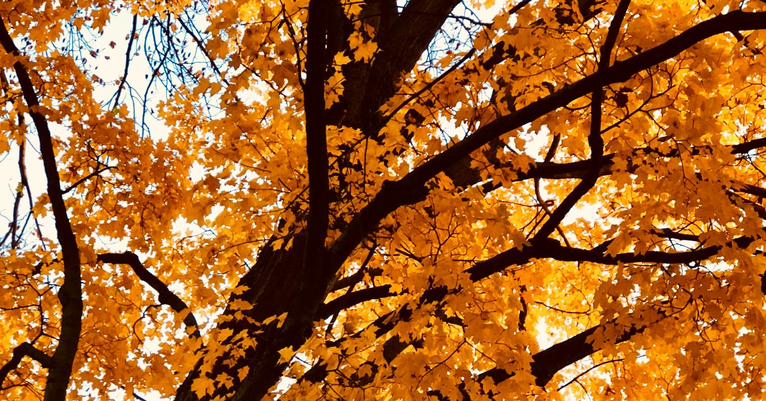 9 Ways to Reclaim Your Energy and Influence as a Leader | Psychology Today