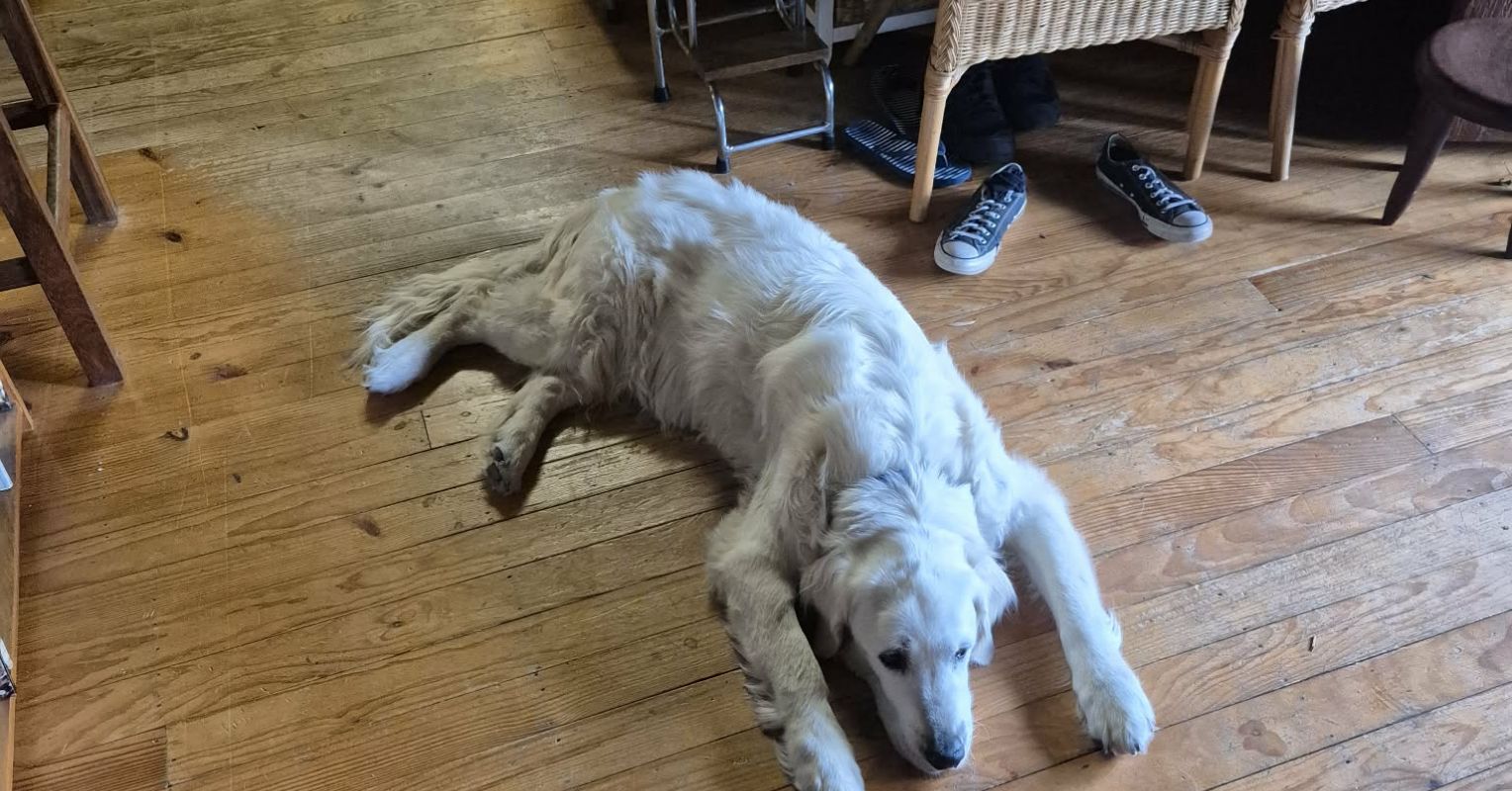 Minds All the Way Down | Psychology Today New Zealand