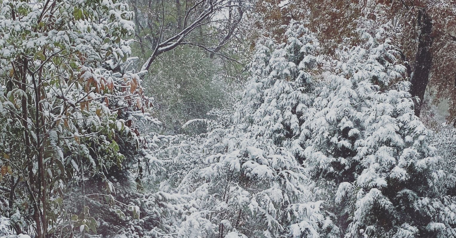 Fatigue: A Frustrating Symptom of Chronic Illness | Psychology Today