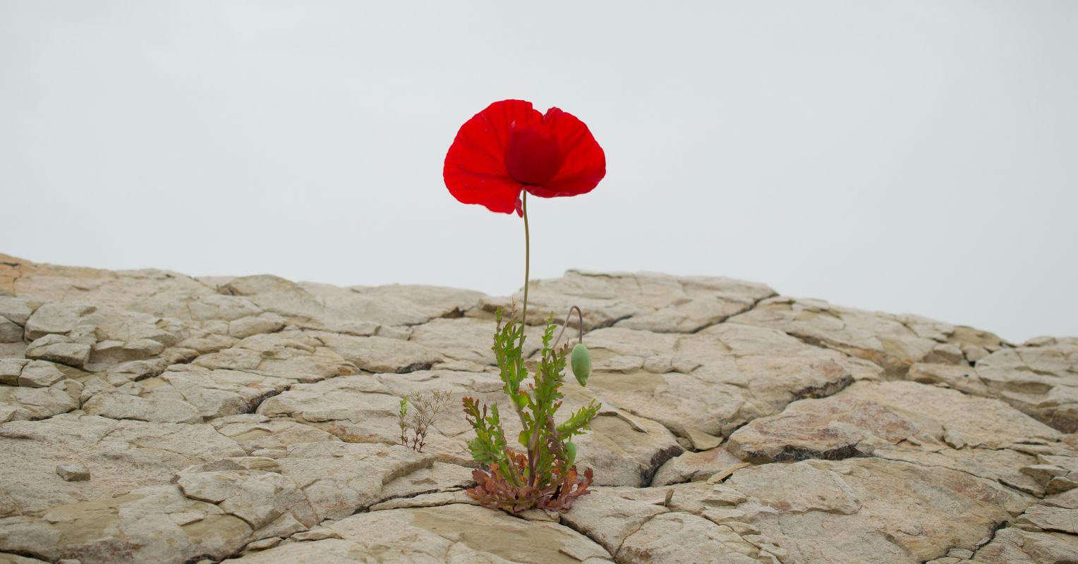 The Traits of A Resilient Personality | Psychology Today South Africa