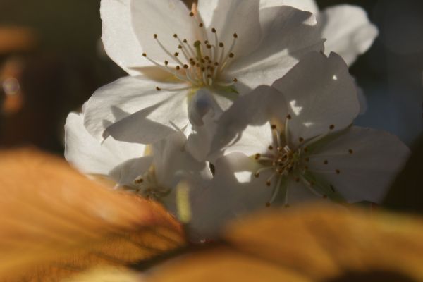 Can Democracy and Islam Coexist? Why Ever Not? | Psychology Today South ...