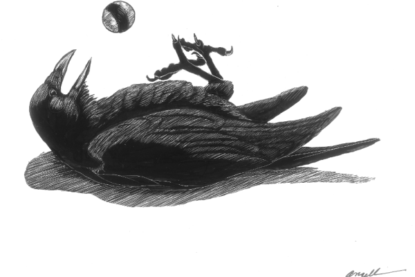 Body Language in Crows | Psychology Today United Kingdom