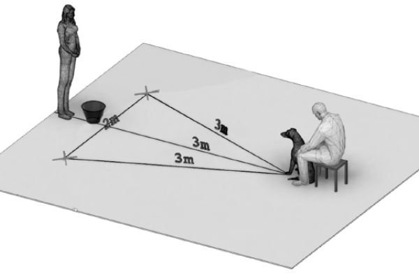 The Neuroscience of Racism | Psychology Today