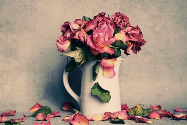 The 4 Key Elements Of Sex Appeal Psychology Today