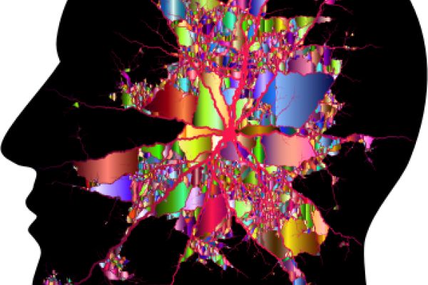 Free Will | Psychology Today New Zealand